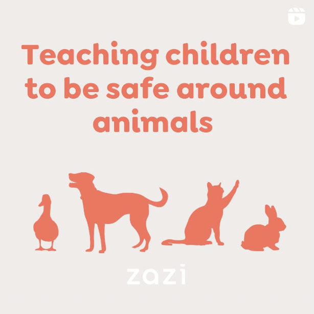 Teaching Children to be Safe Around Animals – Zazi